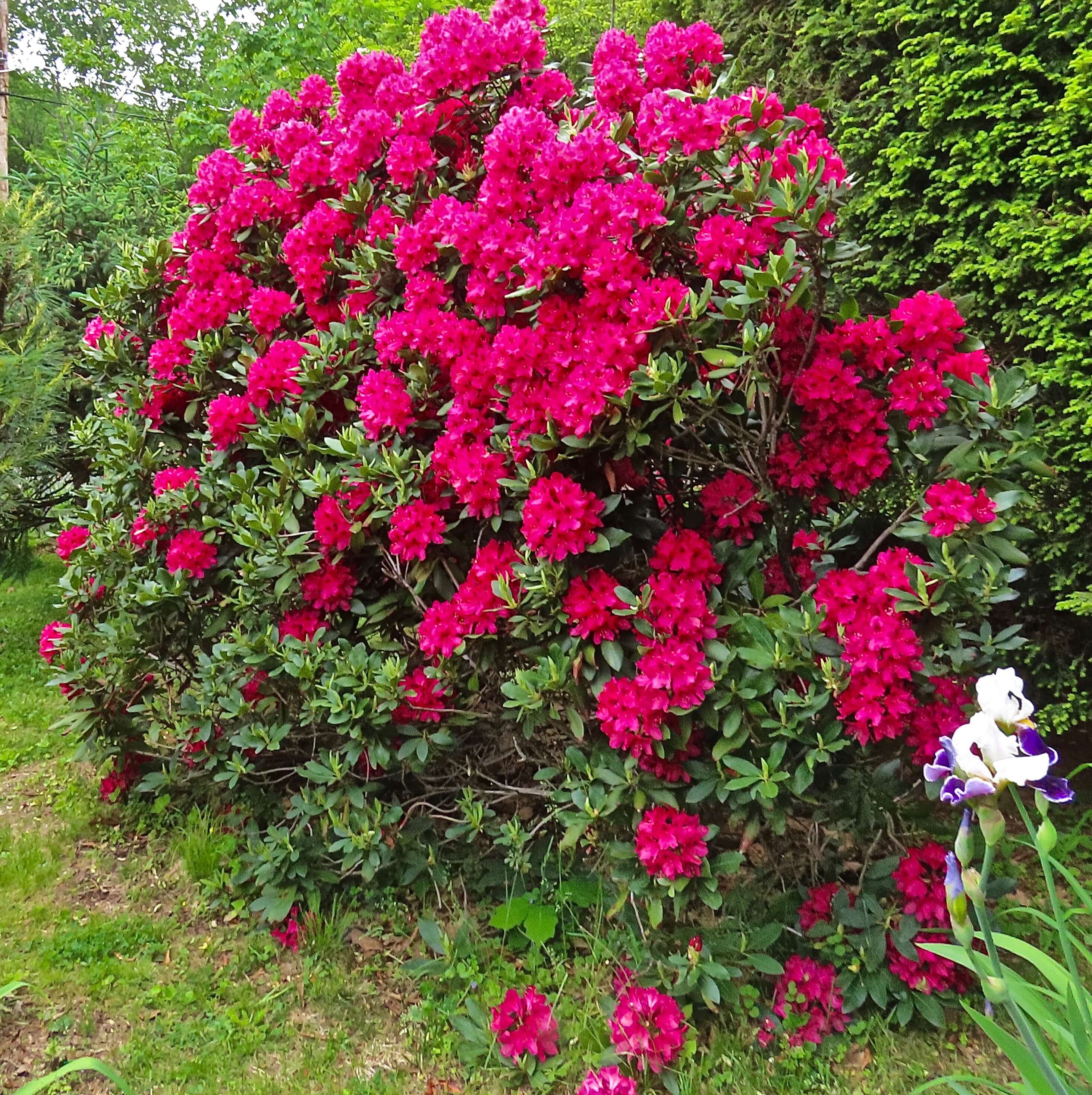 img_3364 – From My Window