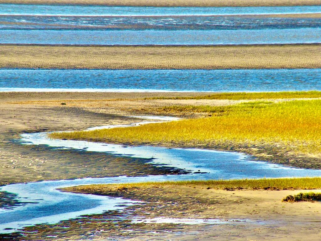 Low Tide Designs – From My Window