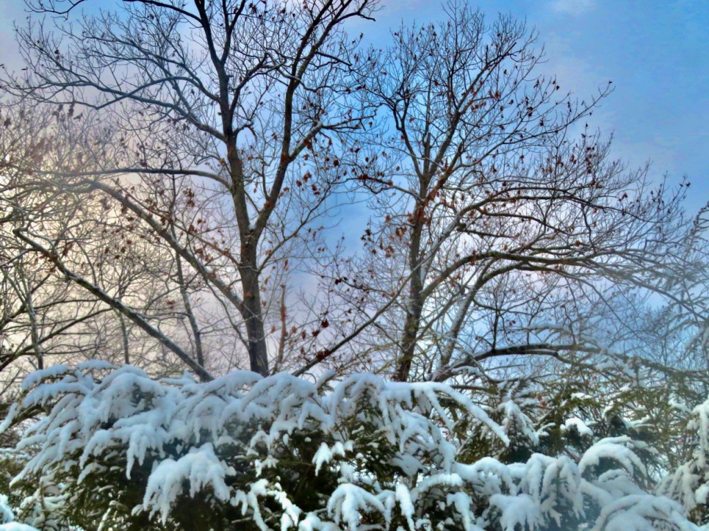 Currier and Ives Skies – From My Window